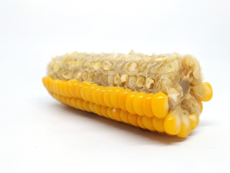 Half Eaten Corn Cob Stock Photos - Free & Royalty-Free Stock Photos ...