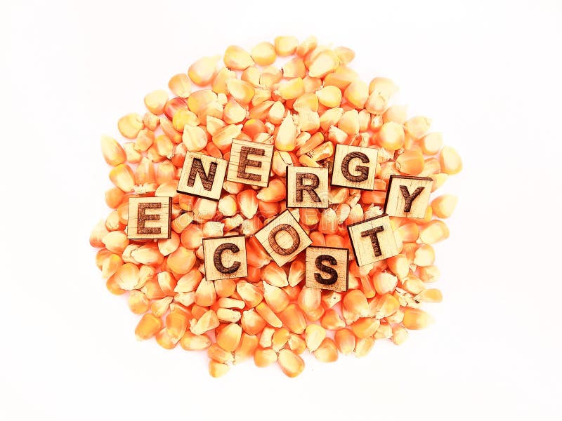 Corn Energy Content Value for Poultry Feed and Animal Farm Stock Photo ...
