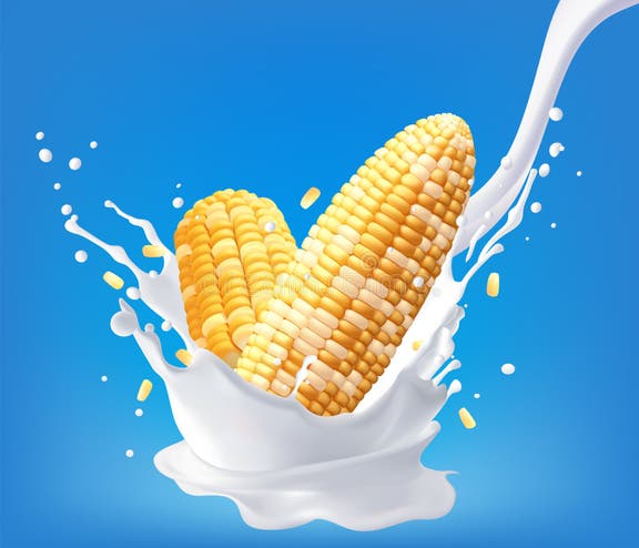 Corn Falling into the Milky Splash. Vector Illustration Stock Vector ...