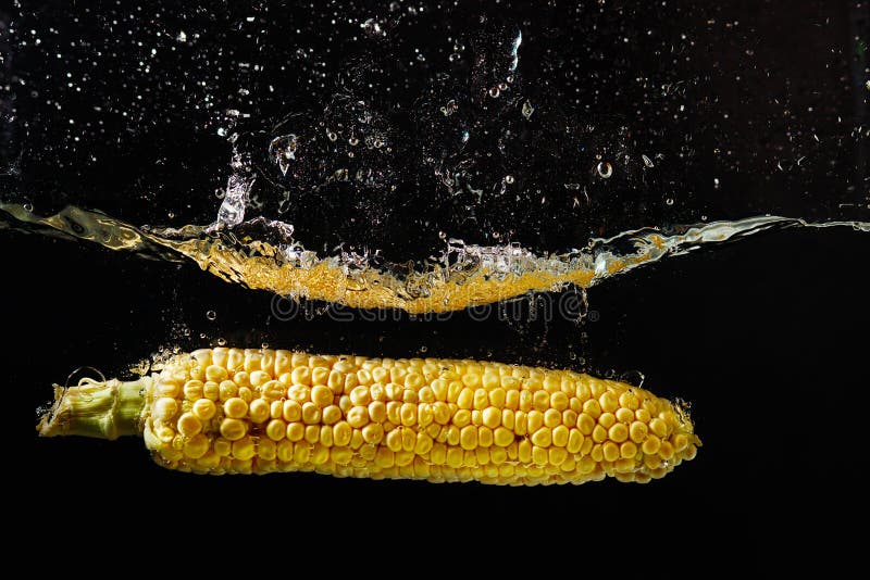 Corn Falling into the Water with a Splash Stock Image - Image of health ...