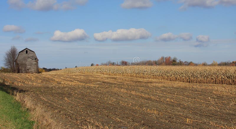 Barn Upstate New York stock image. Image of yellow, corn - 30165931