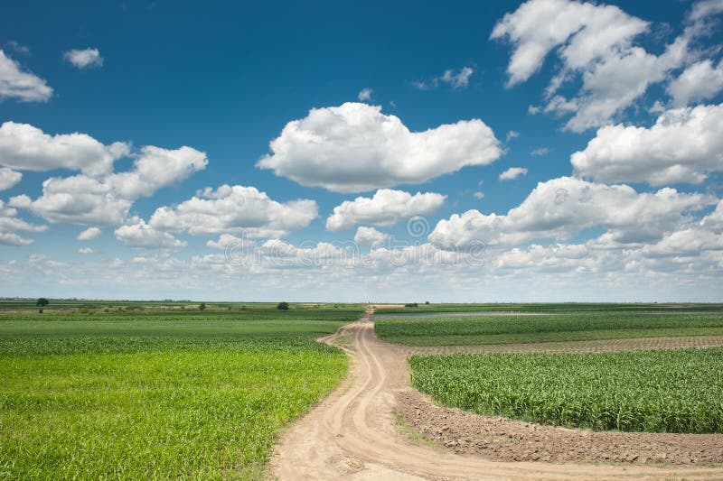 Corn field stock image. Image of countryside, corn, field - 18435117