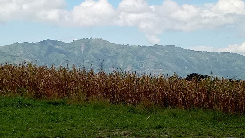 Tupi Philippines Stock Photos - Free & Royalty-Free Stock Photos from ...