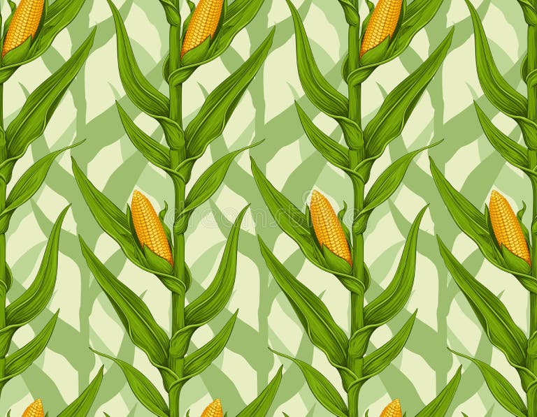 Cartoon Corn Field Stock Illustrations – 4,251 Cartoon Corn Field Stock ...