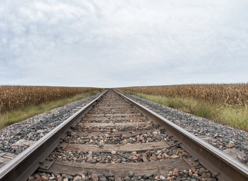 Corn Field by the Railroad Tracks Stock Photo - Image of cultivation ...