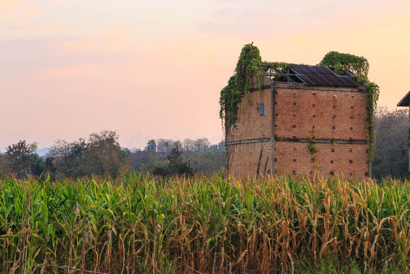 Corn Fields and Abandoned Buildings Stock Photo - Image of home ...