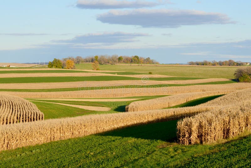Neglected, Run-down House stock image. Image of crumbling - 102772521