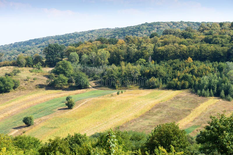 Summer Landscape In The Mountains And Hills, Moldova Stock Image ...