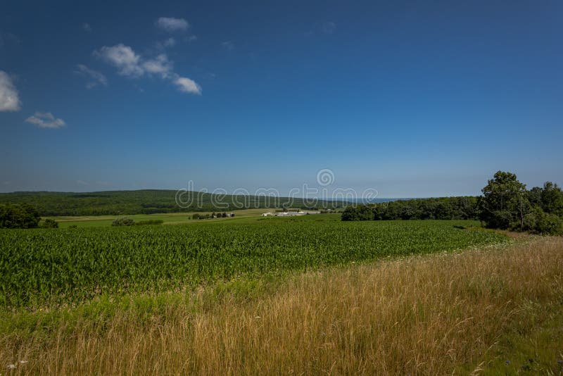 Corn Fields on a Sunny Day stock image. Image of state - 155777711