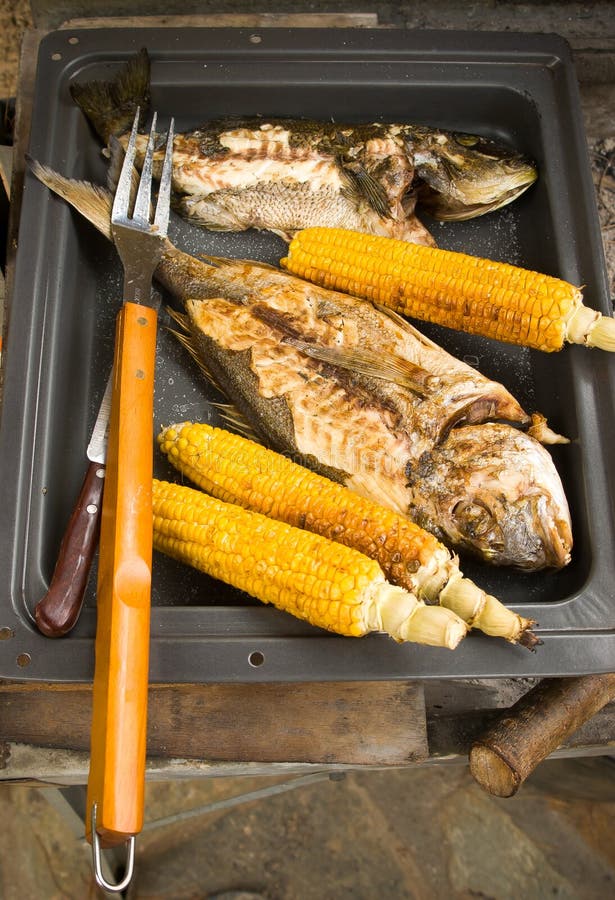Corn and fish on bbq stock image. Image of grain, healthy - 26630851