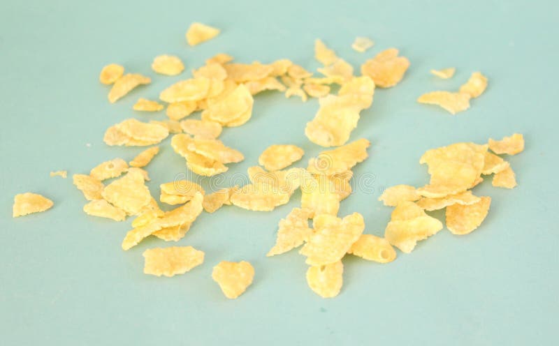 Corn stock image. Image of organic, field, leaves, agriculture - 15394247