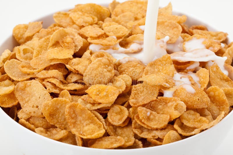Corn flakes stock photo. Image of healthy, corn, bowl - 10292276