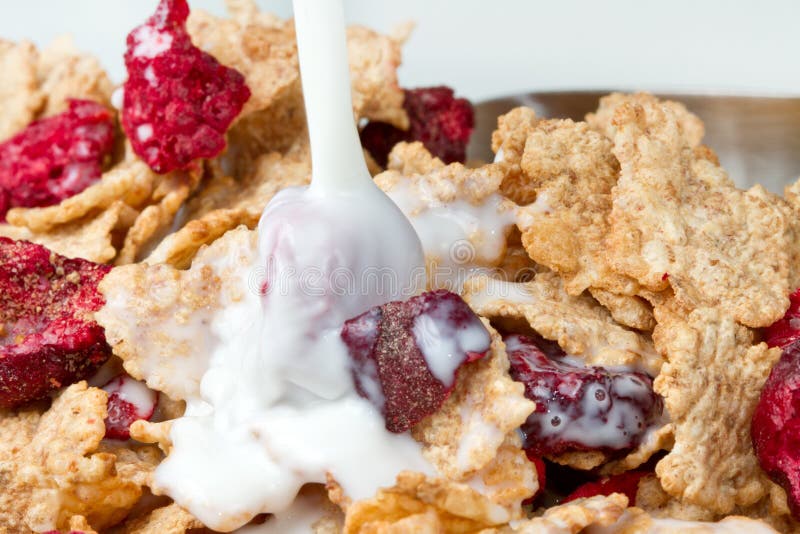 Corn flakes stock image. Image of healthy, diet, drop - 20409375