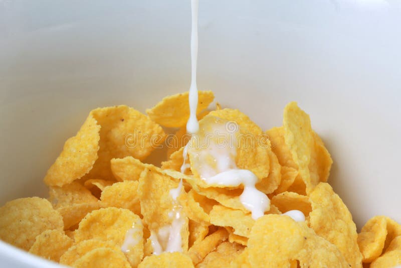 Corn flakes stock photo. Image of corn, flakes, healthy - 38400202