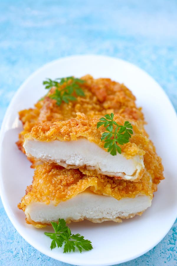 Fried turkey fillet stock photo. Image of meat, recipe - 141394924