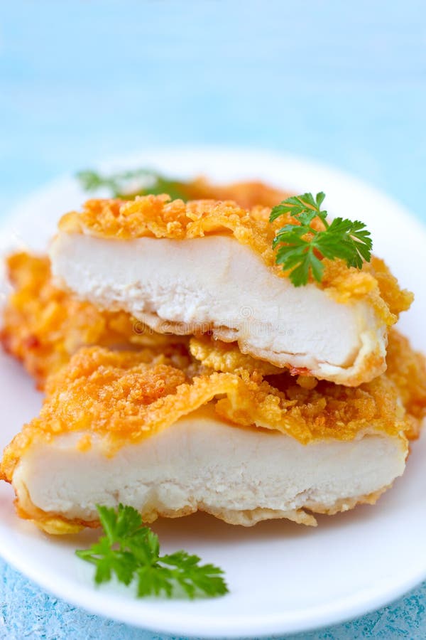 Fried turkey fillet stock photo. Image of meal, lunch - 141394960