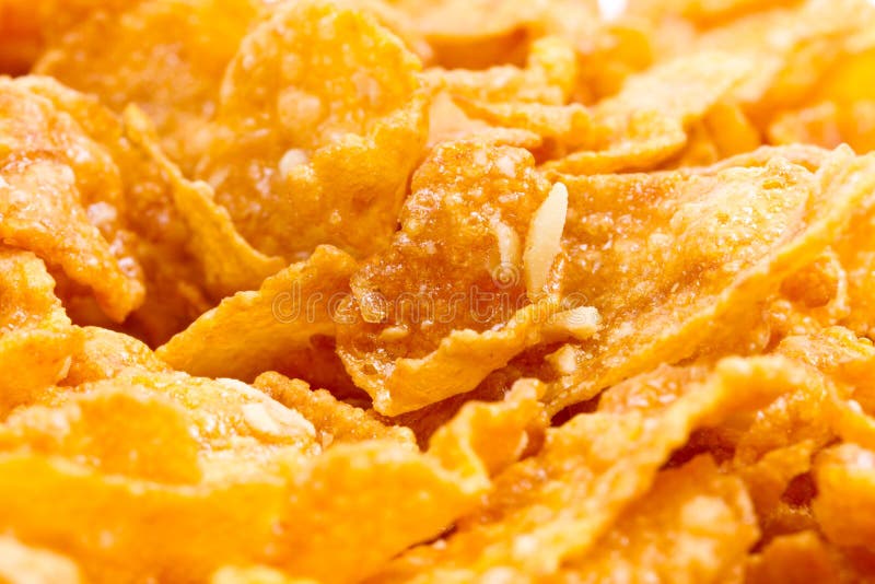 Corn flakes close up stock photo. Image of cornflakes - 22837262