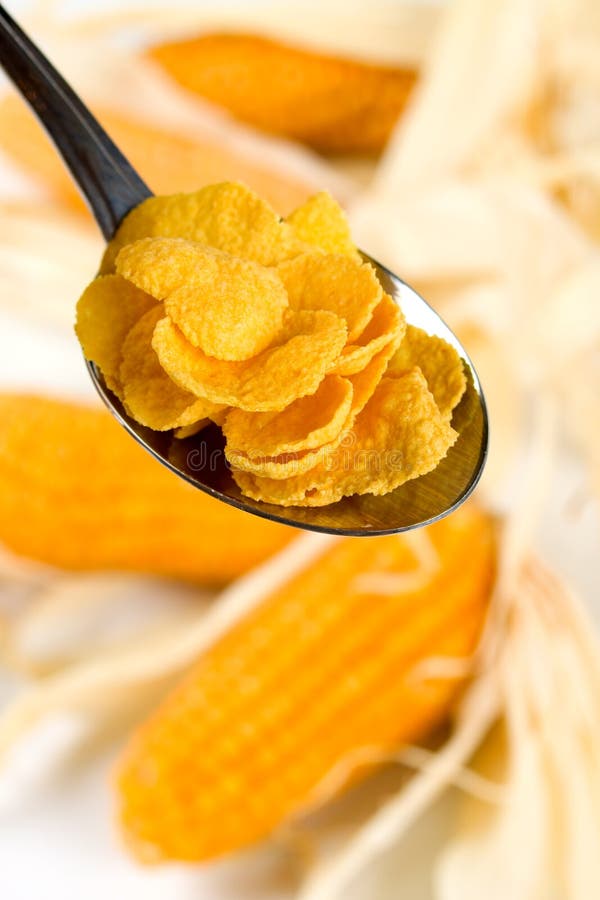 Corn Flakes Served for Breakfast Stock Photo - Image of healthy, white ...