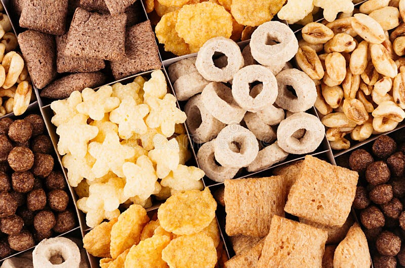 View of Decorative Juniper Growing in Pots Stock Photo - Image of farm ...