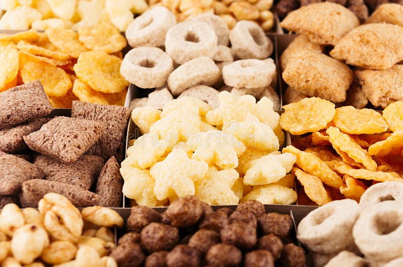 View of Decorative Juniper Growing in Pots Stock Photo - Image of farm ...