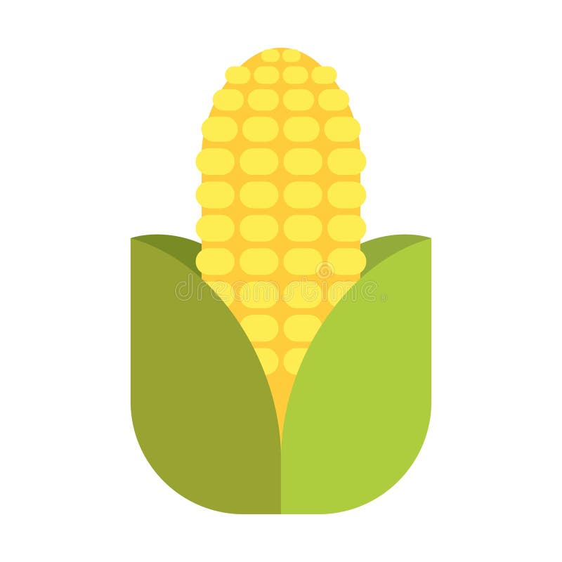 Corn Flat Clipart Vector Illustration Stock Vector - Illustration of ...