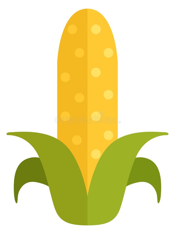 Corn flat icon. Maize cob stock vector. Illustration of corning - 258133734