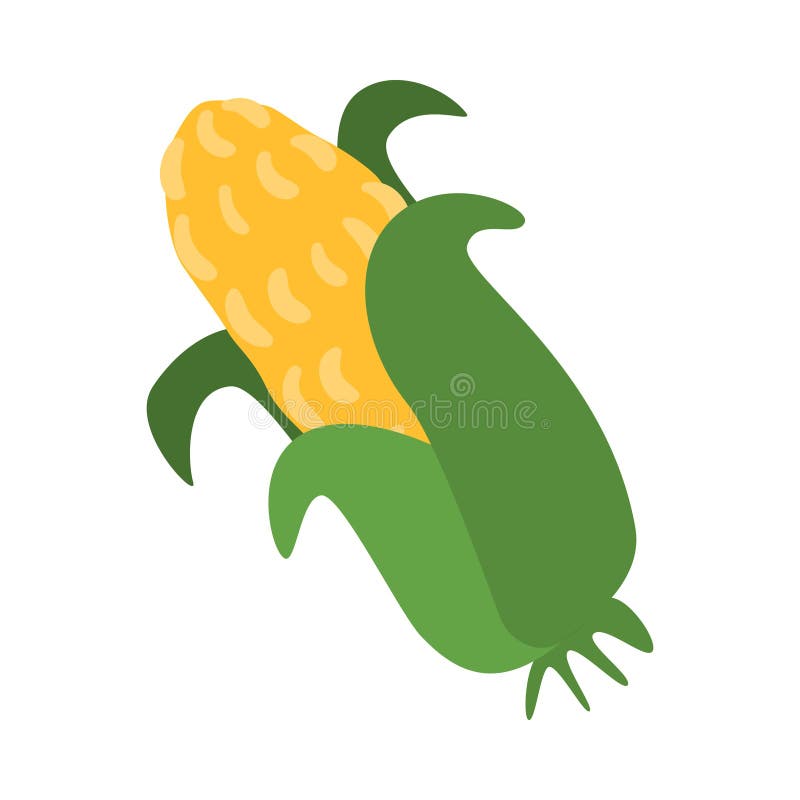 Flat Corn Icon Clipart Vegetable Cute Animated Vector Graphic ...