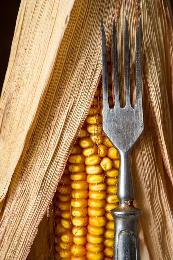 Corn and fork close-up. stock image. Image of harvesting - 29950137