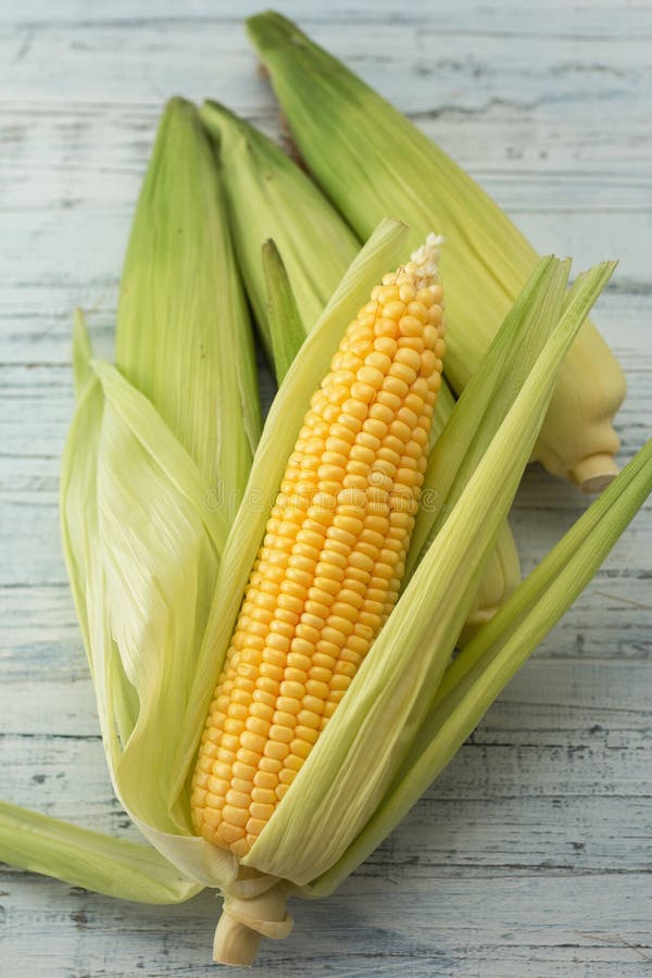 Corn stock photo. Image of fresh, delicious, kernels - 43230222