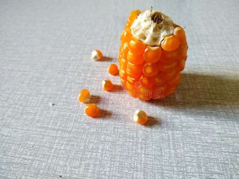 Corn fruit stock photo. Image of corn, petal, fruit - 306748932