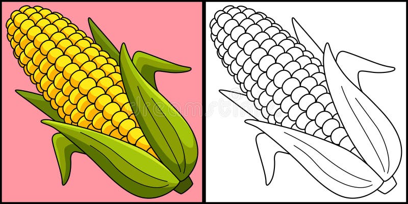Corn Fruit Coloring Page Colored Illustration Stock Illustration ...