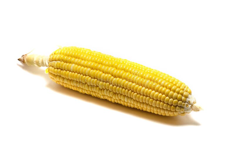 Corn, Fruit, Healthy, Delicious Flavor. Stock Photo - Image of plant ...