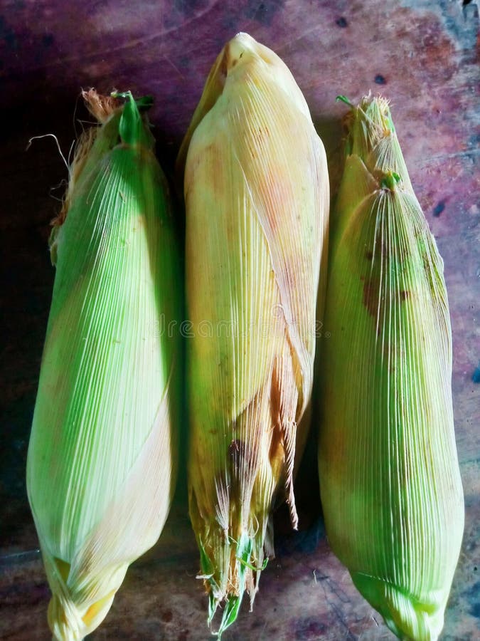 Corn Fruit , Three Corn Sweet Green Stock Image - Image of green, three ...