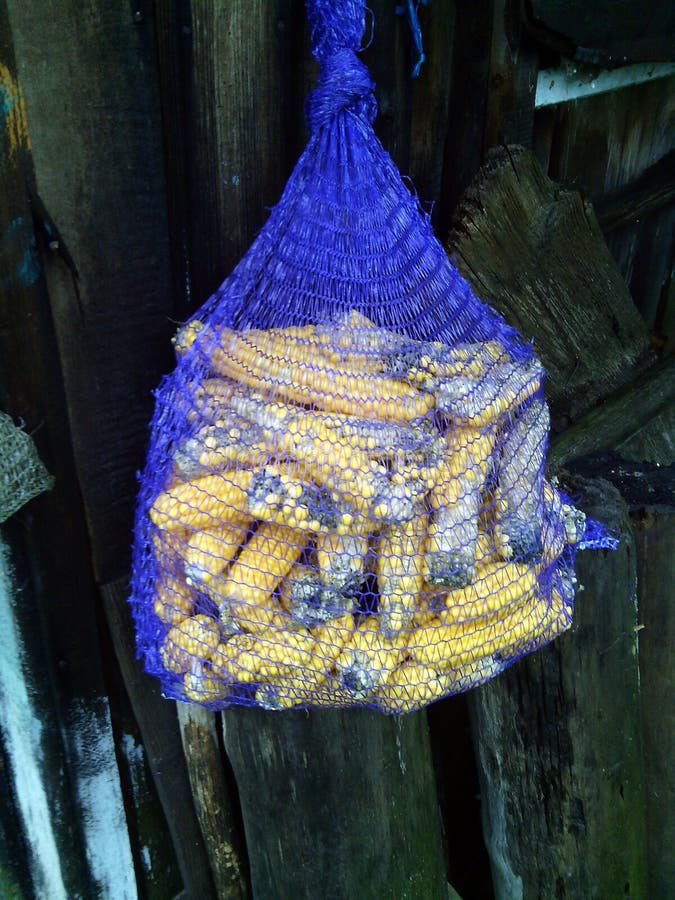 194 Popcorn Drying Stock Photos - Free & Royalty-Free Stock Photos from ...