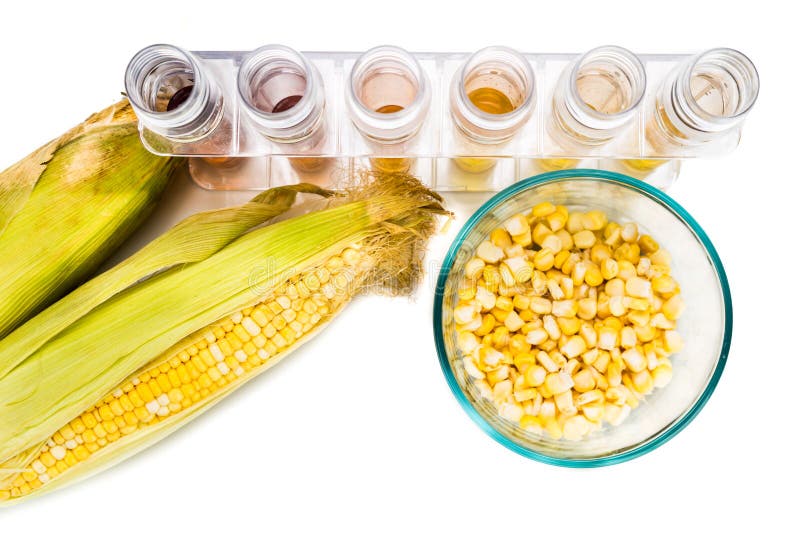 Ethanol Oil Test in Tube Fuel Research Industry Stock Photo - Image of ...