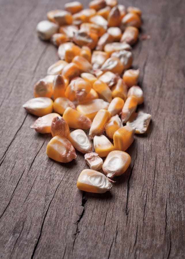 Corn grain stock photo. Image of sweetcorn, grained, close - 22415318
