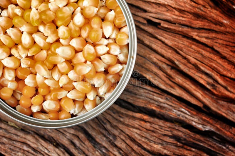 Corn grain stock image. Image of fresh, closeup, macro - 33604117