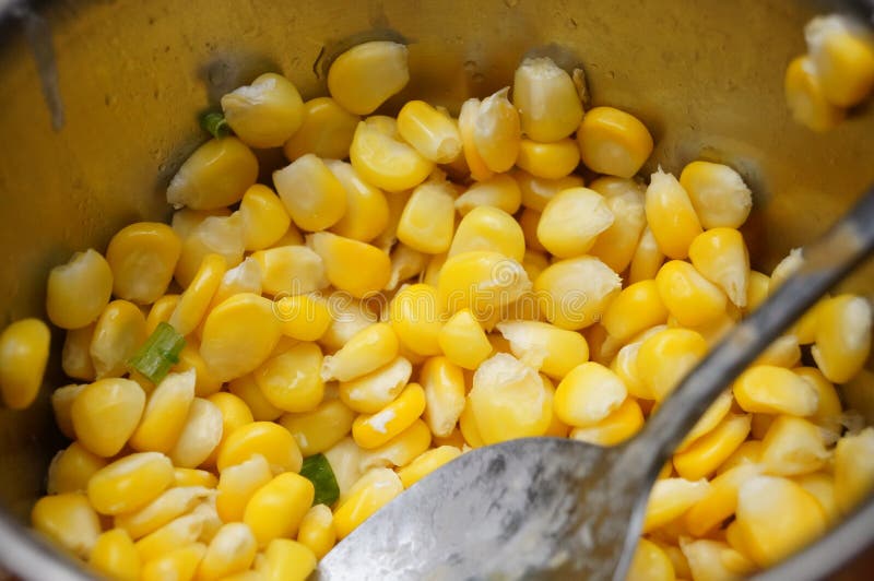 Corn grain stock image. Image of natural, ingredients - 49444257