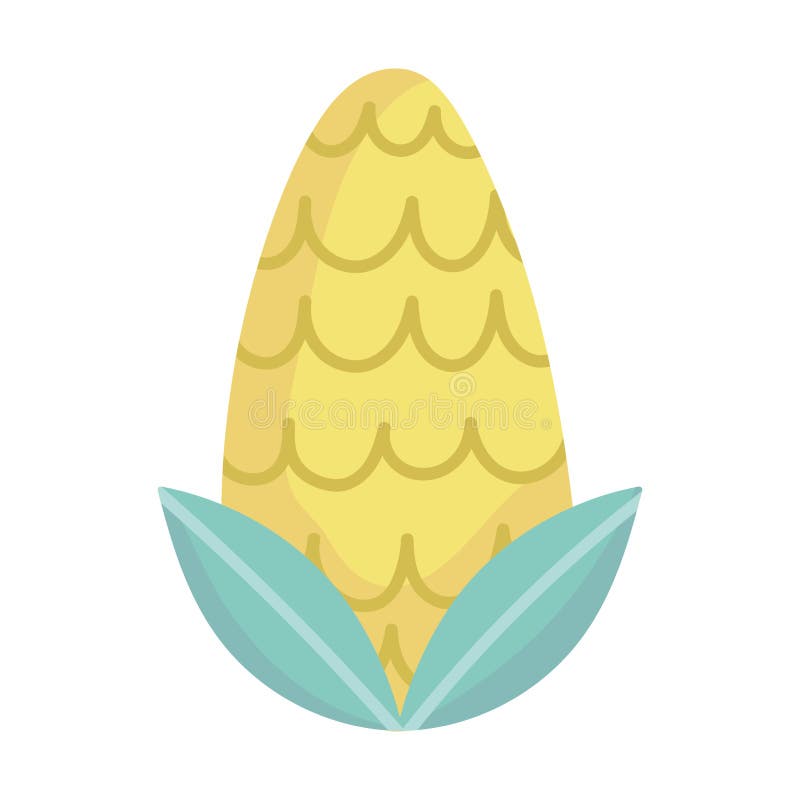 Corn Grain Fresh Food Cartoon Icon Style Design Stock Vector ...