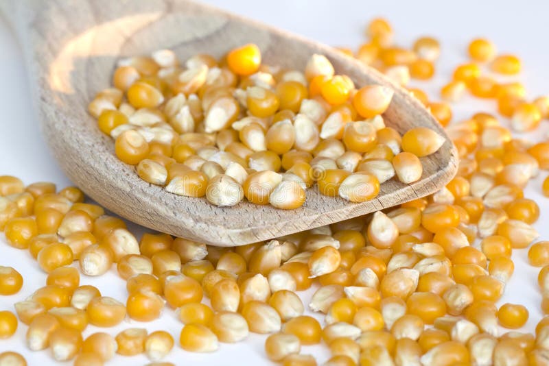 Corn grains stock image. Image of granule, baking, heap - 39197095