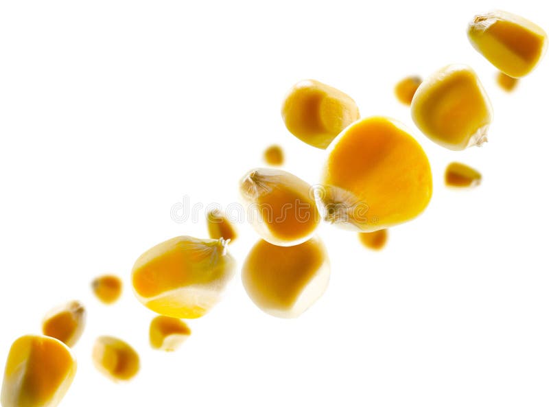 101 Corn Fly Kernels Stock Photos - Free & Royalty-Free Stock Photos ...
