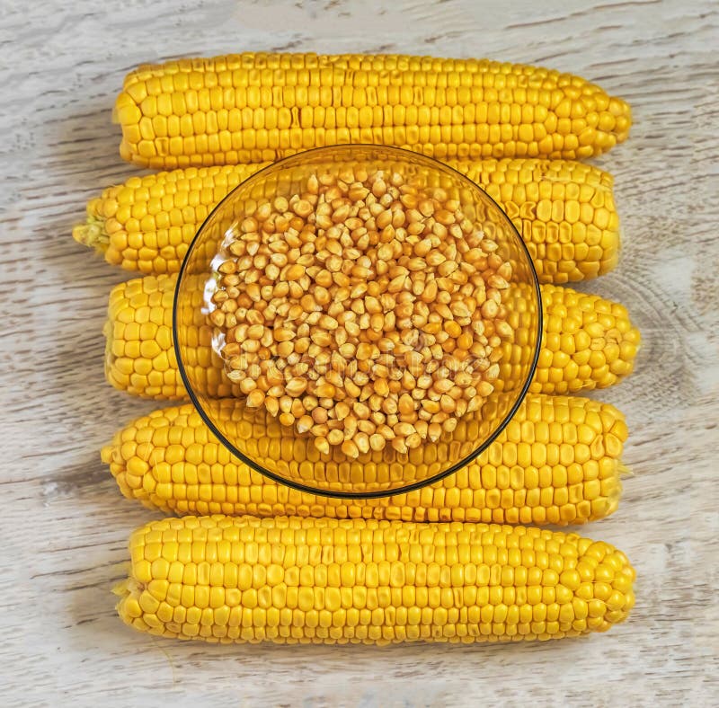 Corn Grains on a Plate on the Background of Fresh Cobs, Autumn Harvest ...