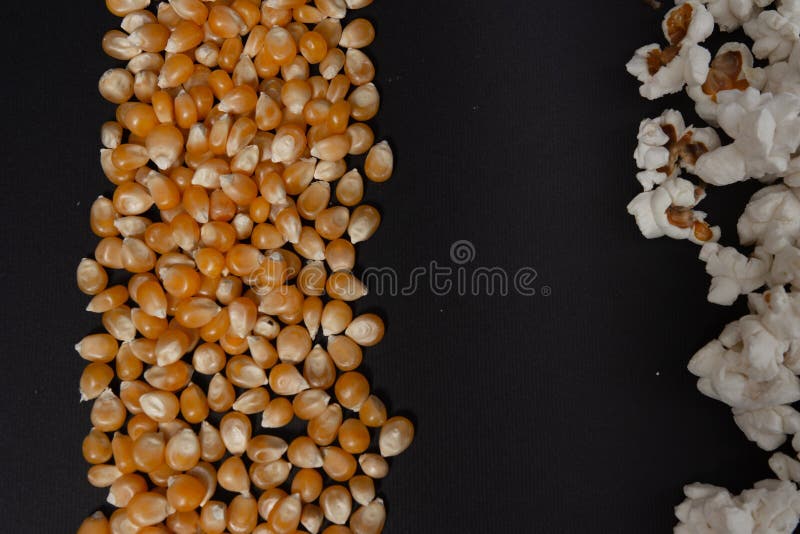 Corn and Popcorn Grains in Two Rows on a Black Background. Stock Photo ...