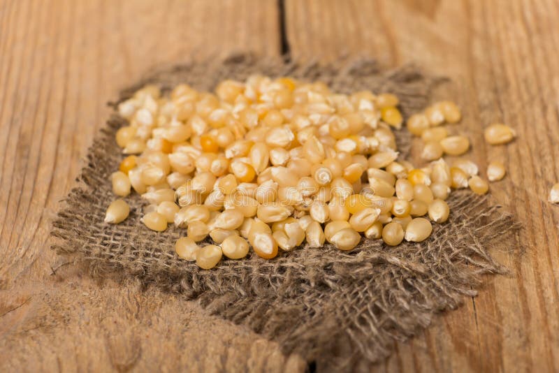 Corn grains stock photo. Image of food, grain, organic - 58990962