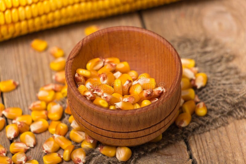 Corn grains stock image. Image of popcorn, closeup, horizontal - 59209117