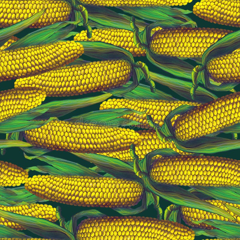 Corn Graphic Color Seamless Pattern Sketch Illustration Stock ...