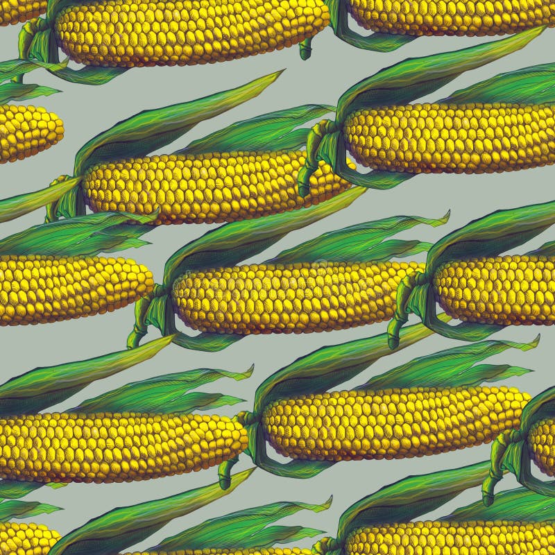 Corn Graphic Color Seamless Pattern Sketch Illustration Stock ...