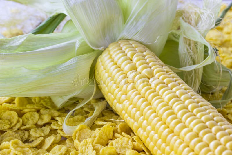 Corn with Green Leaves and Cornflakes Stock Image - Image of cornflakes ...