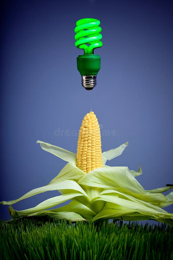 Corn Green Power Concept with Corn and Lightbulb Stock Image - Image of ...
