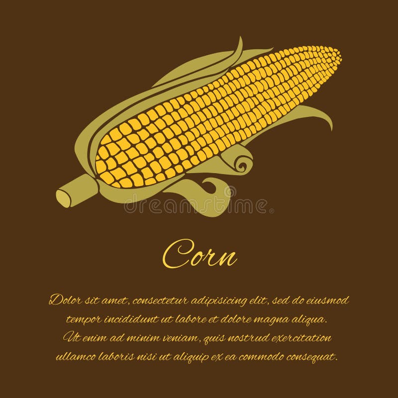 Corn Greeting Card on the Bright Background Stock Vector - Illustration ...